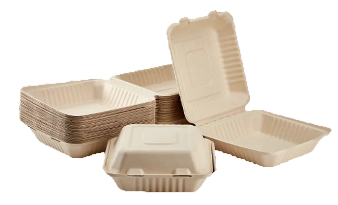 Wholesale Hinged Bagasse Take Out Containers | Sustainable Fiber Food ...