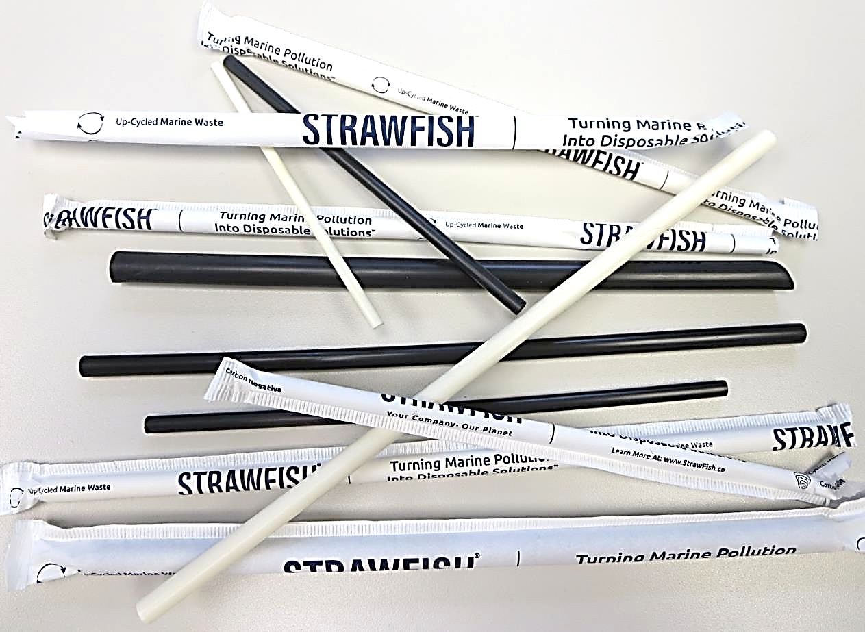 StrawFish® Biodegradable Unwrapped Natural Standard Straw | Plastic ...